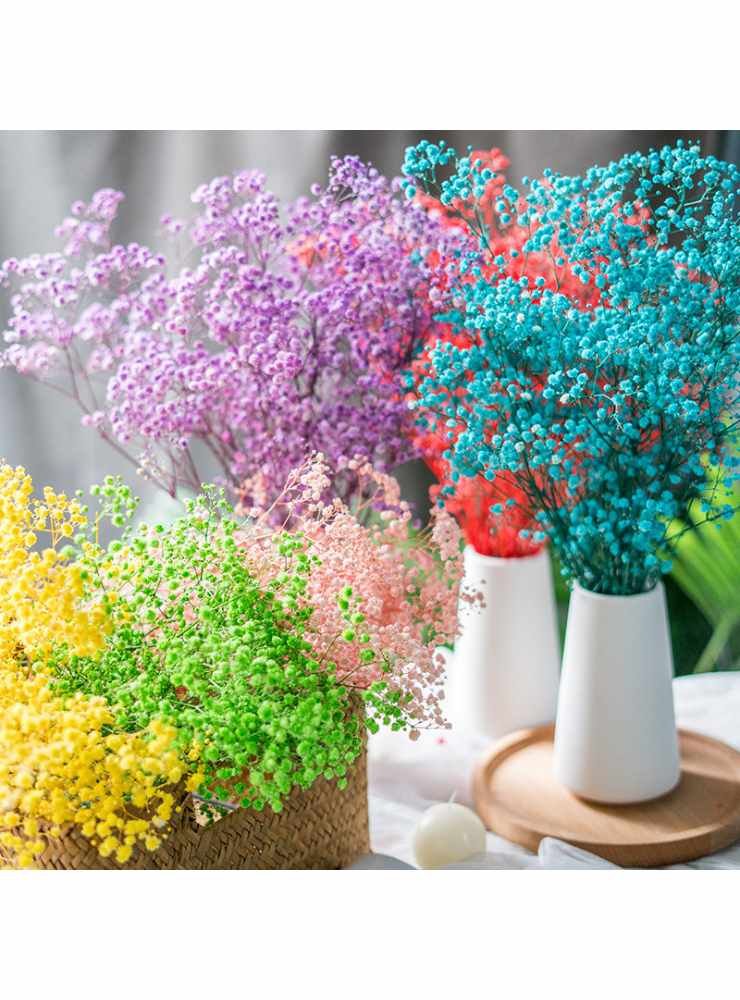 Gypsofilia seca – MVH Flowers